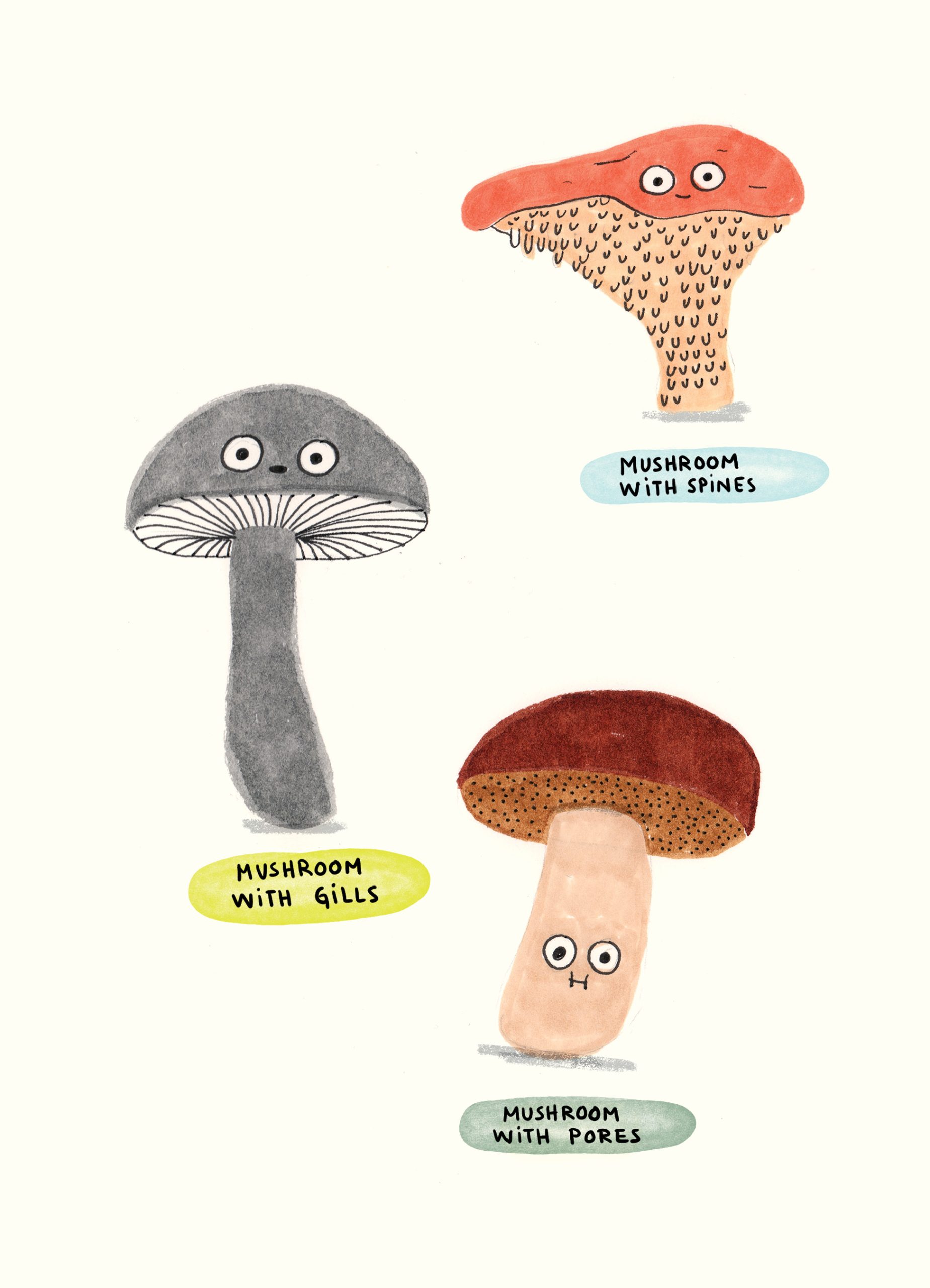The Mushroom Fan Club – Drawn & Quarterly