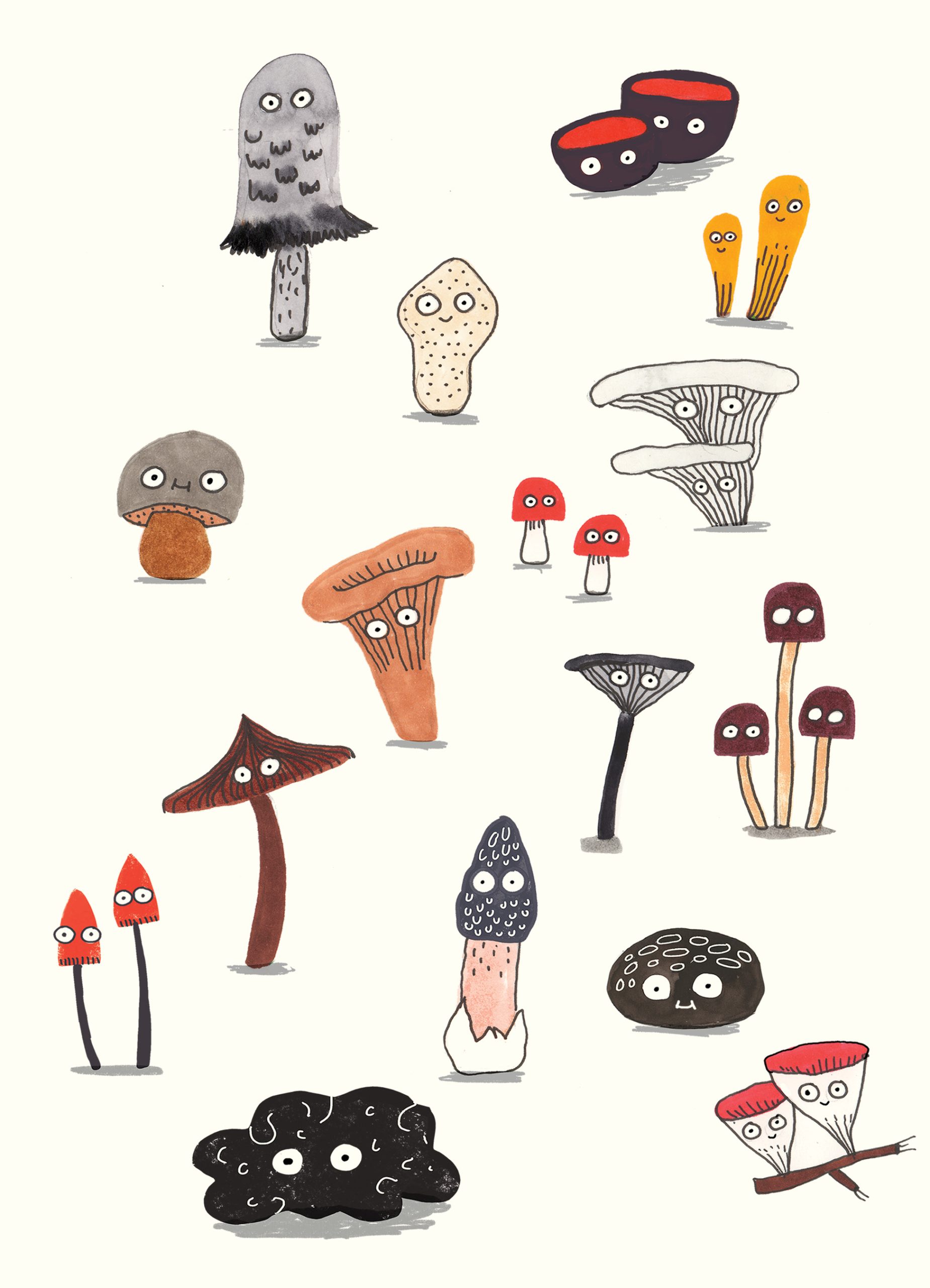 The Mushroom Fan Club – Drawn & Quarterly