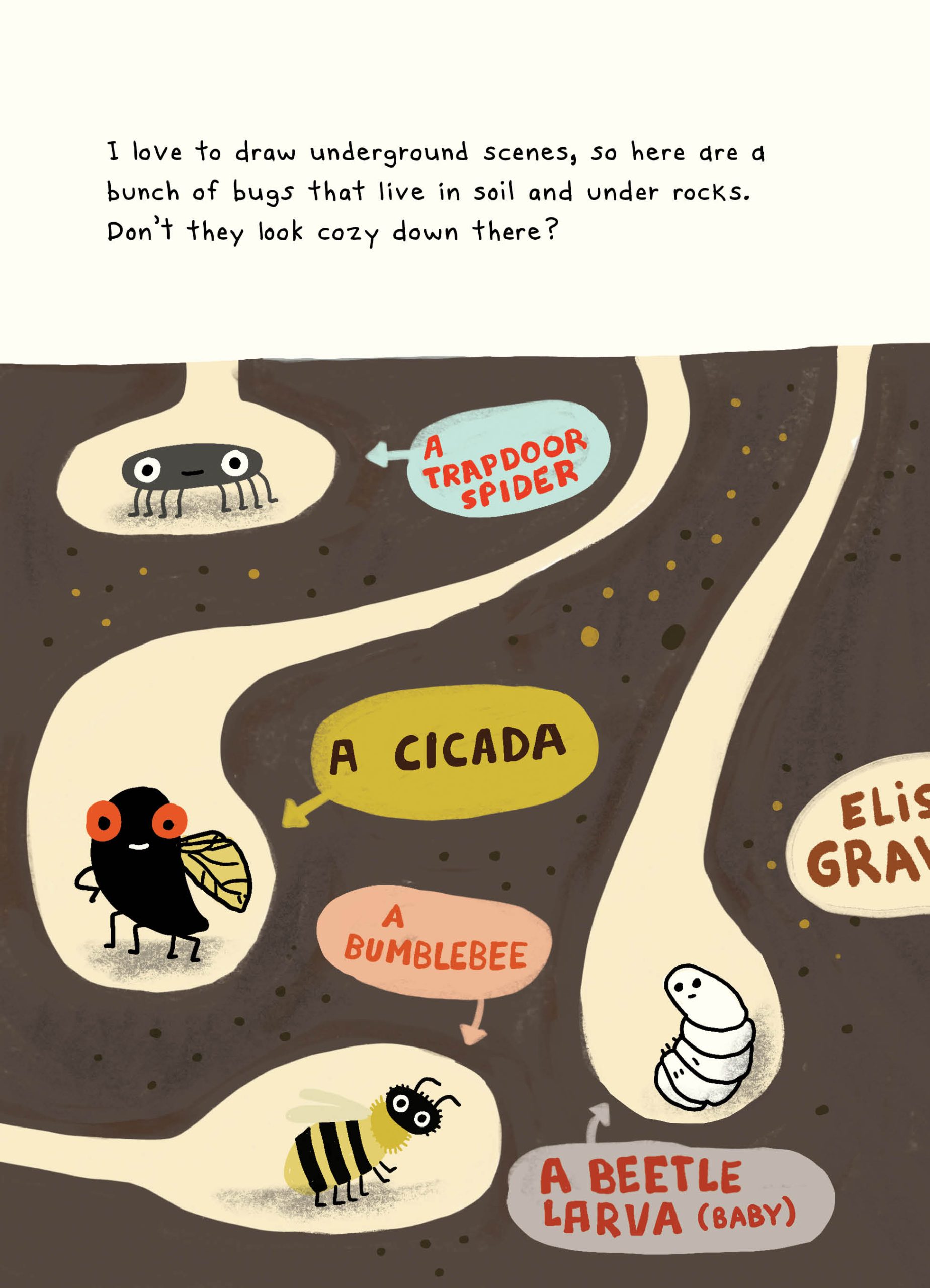 The Bug Club – Drawn & Quarterly