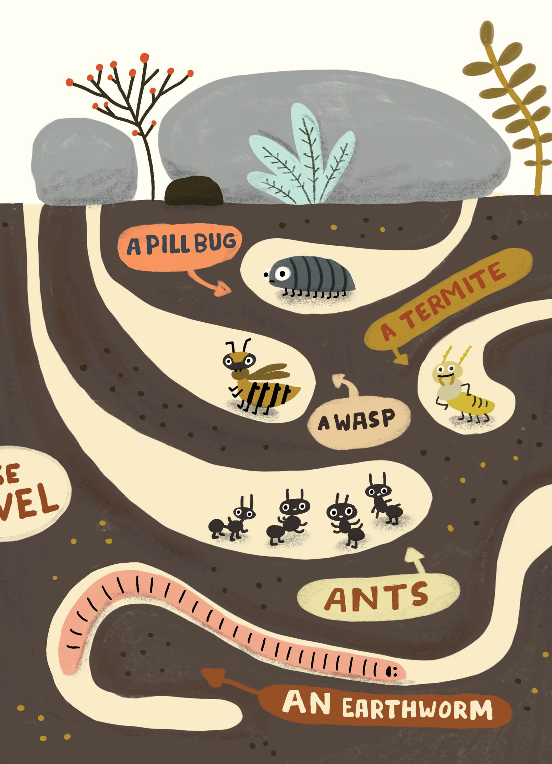 The Bug Club – Drawn & Quarterly