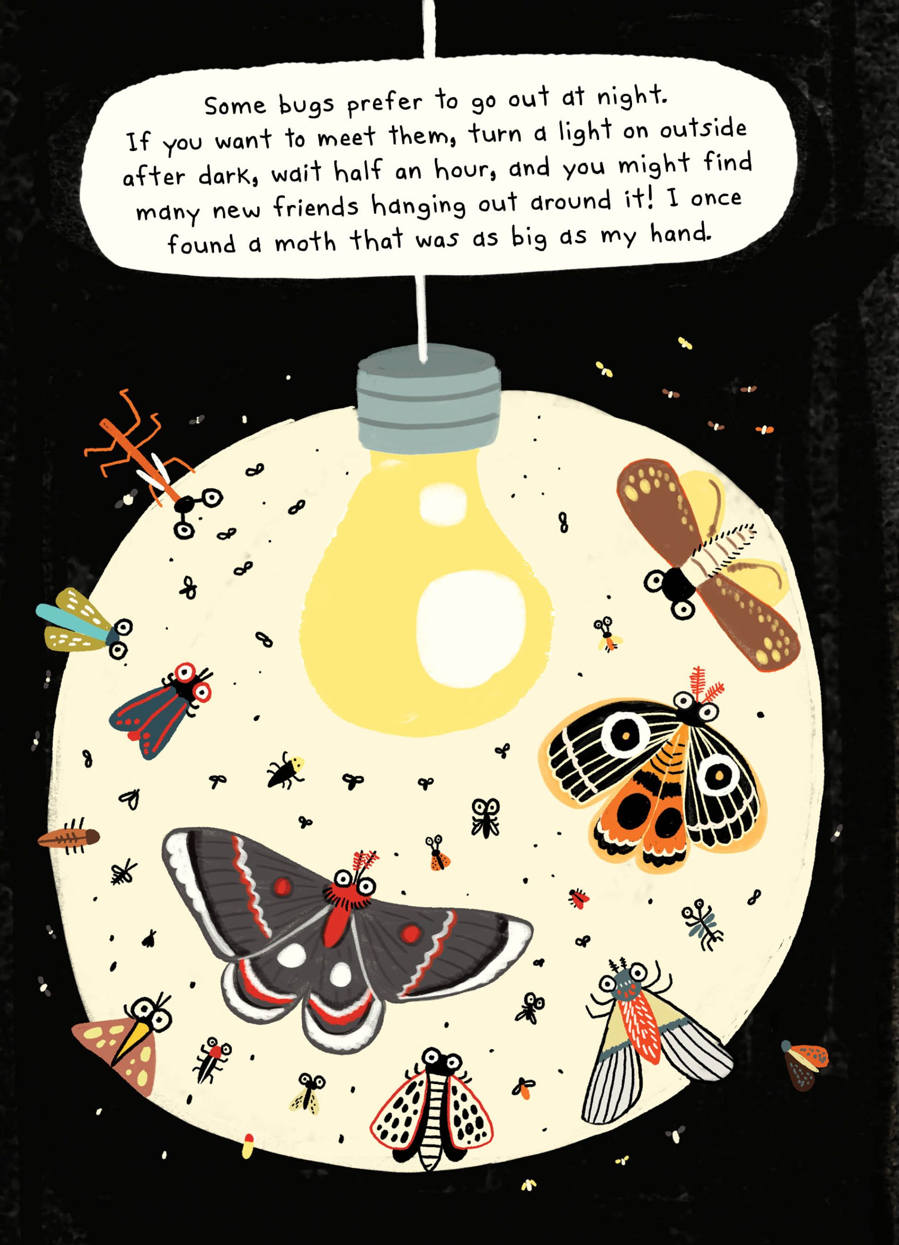 The Bug Club – Drawn & Quarterly