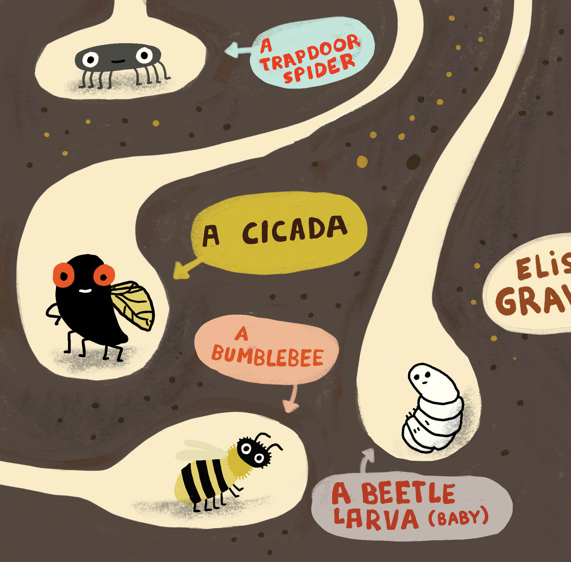 The Bug Club – Drawn & Quarterly