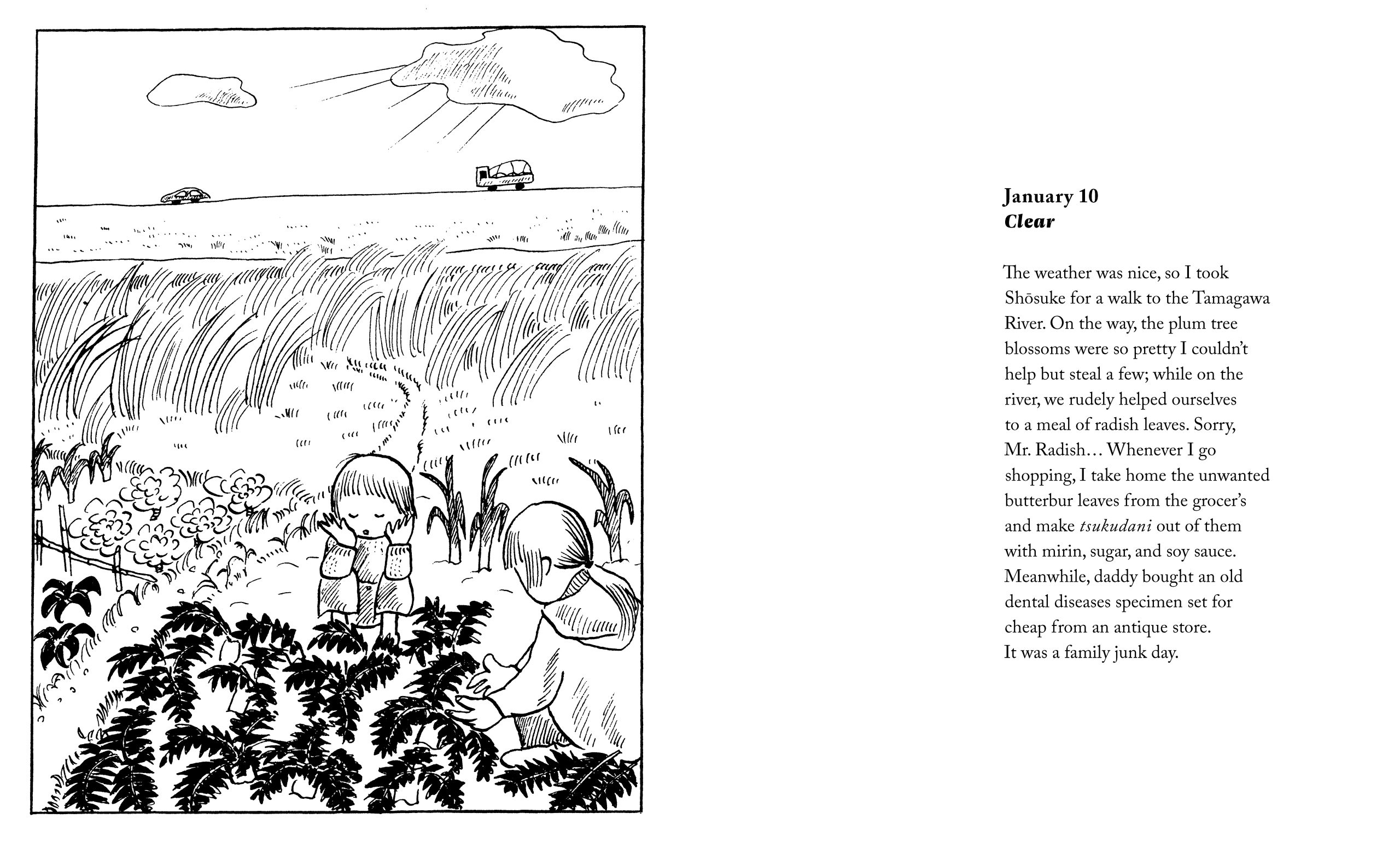 My Picture Diary by Fujiwara Maki – Drawn & Quarterly