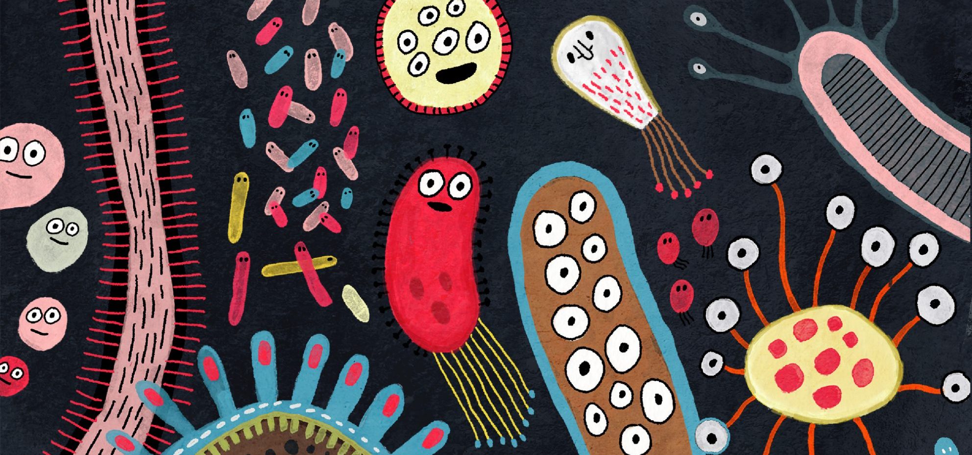 News – Drawn & Quarterly