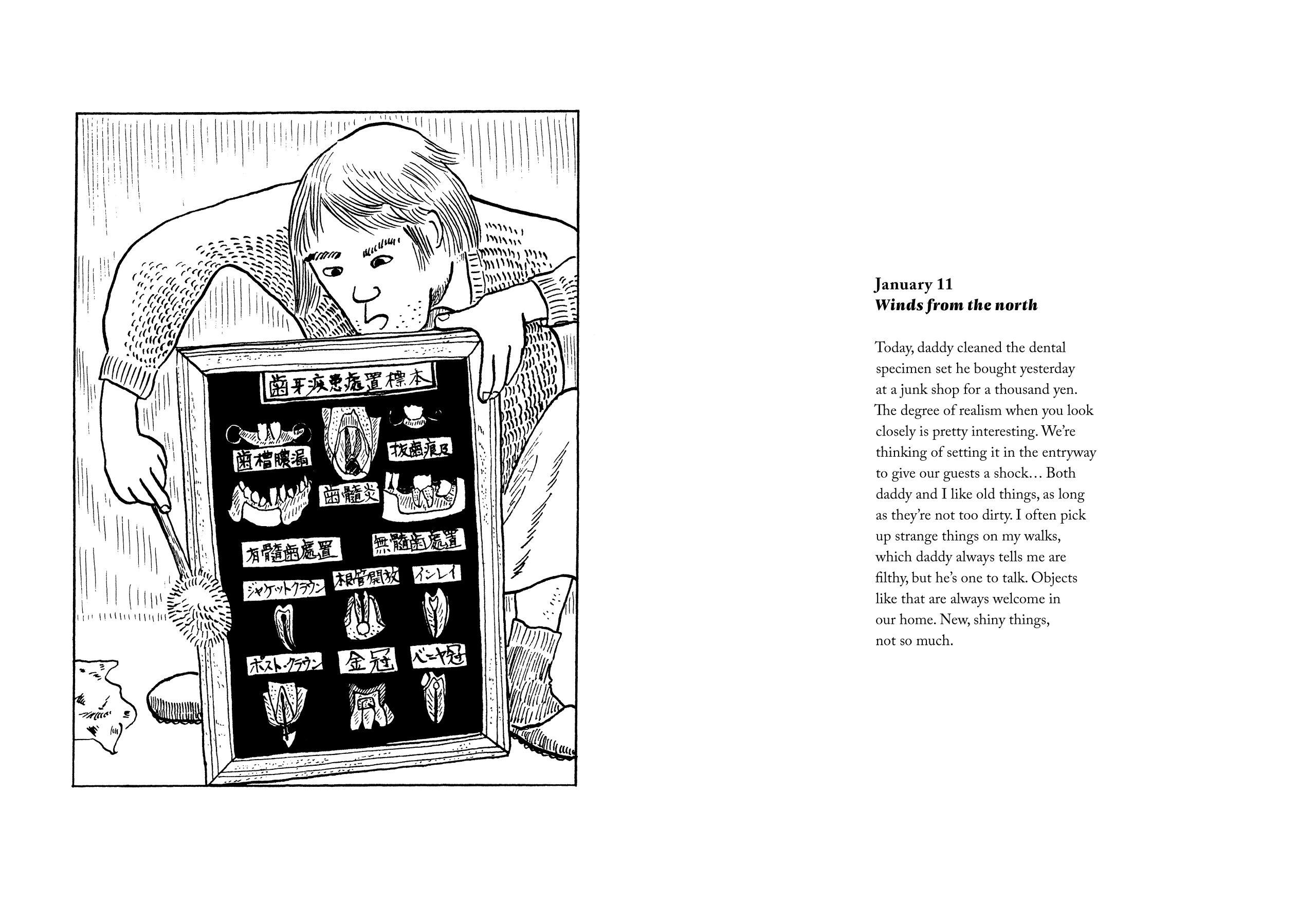 My Picture Diary – Drawn & Quarterly