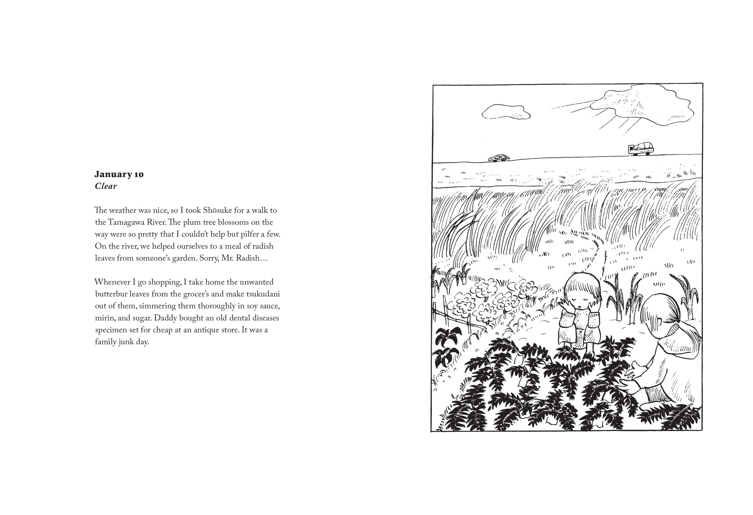 My Picture Diary – Drawn & Quarterly