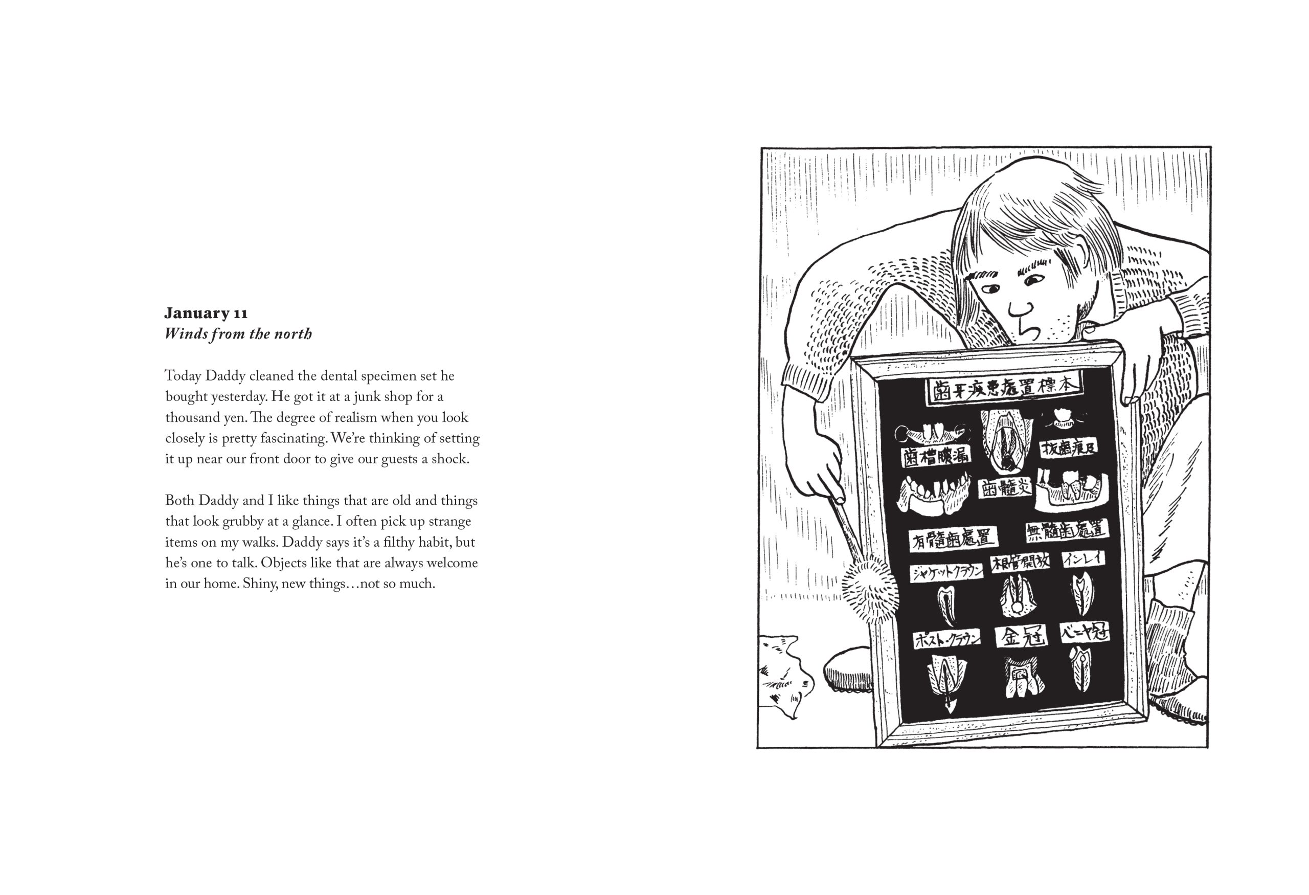 My Picture Diary – Drawn & Quarterly