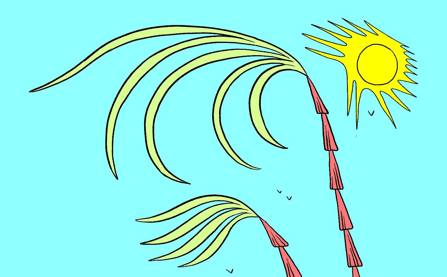 Michael DeForge at Secret Headquarters in Los Angeles, CA – Drawn ...