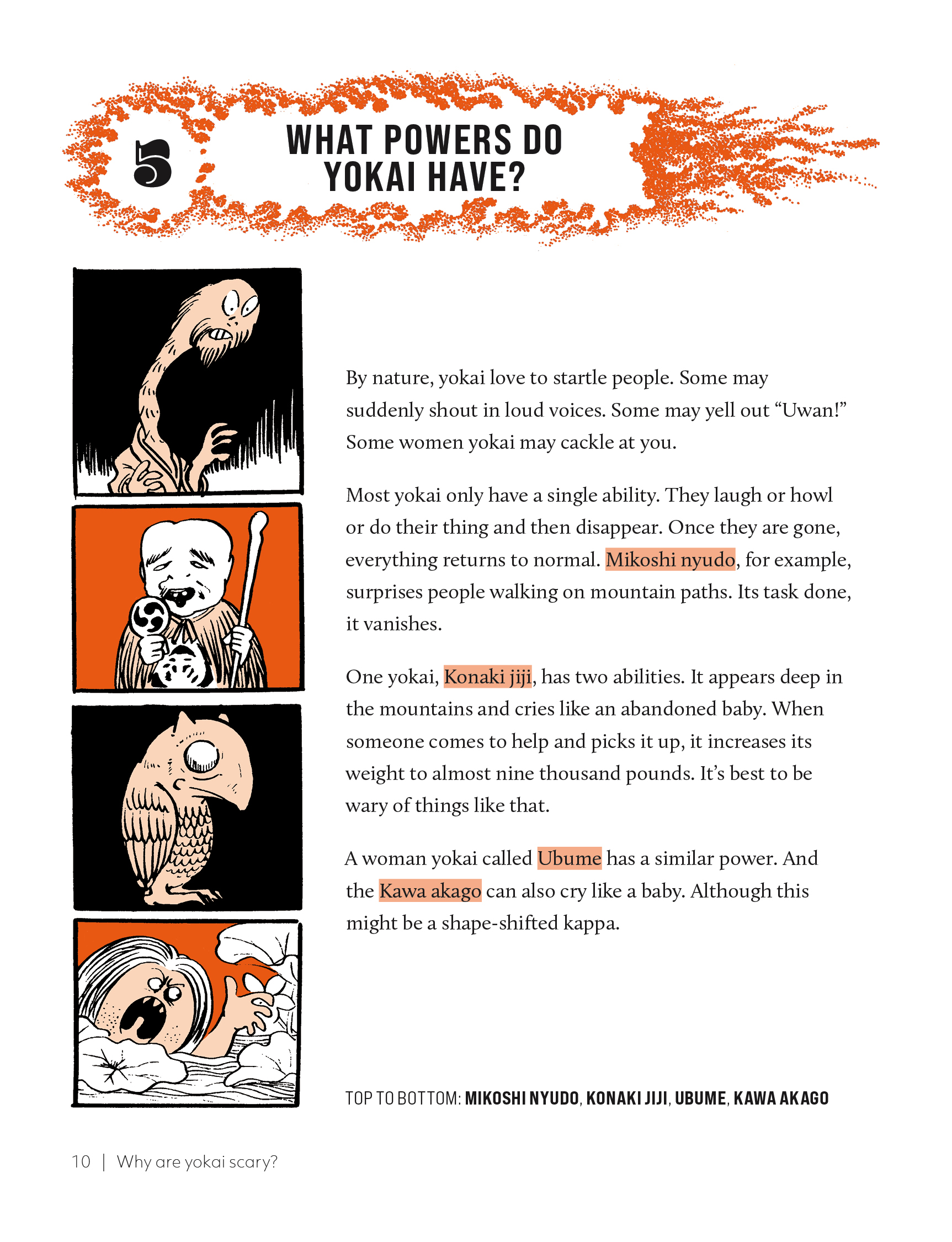 The Definitive Yokai Field Guide – Drawn & Quarterly